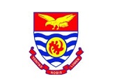 INSTITUTE OF ICT PROFESSIONALS GHANA - IIPGH - logo17